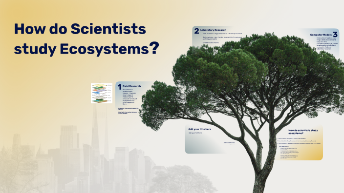 How do scientist study ecosystem? by Bang Motio on Prezi