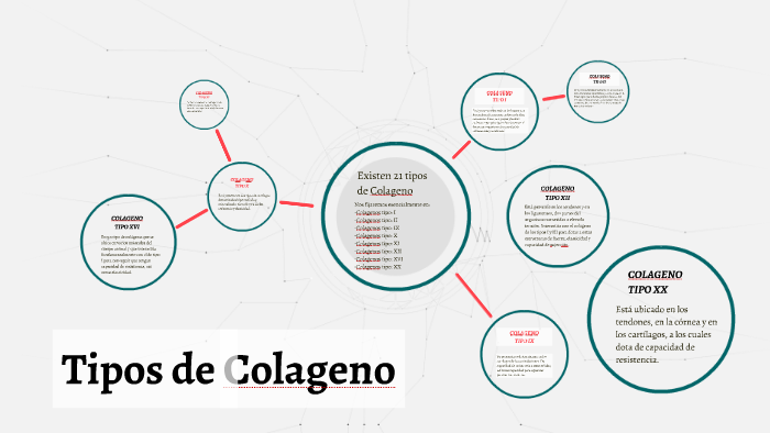 Tipos de Colageno by camila bolivar on Prezi