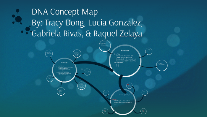 DNA Concept Map by Raquel Zelaya