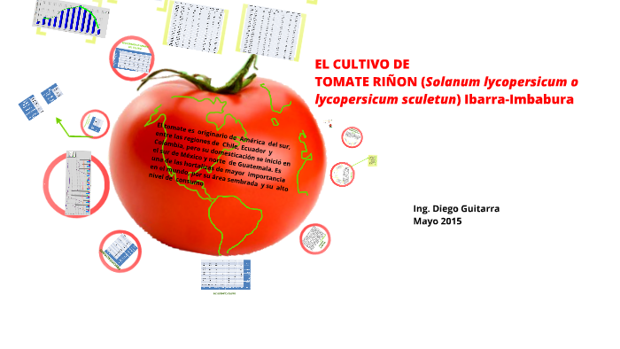 TOMATE RIÑON PROGRAMACIÒN RIEGO by DIEGO GUITARRA on Prezi