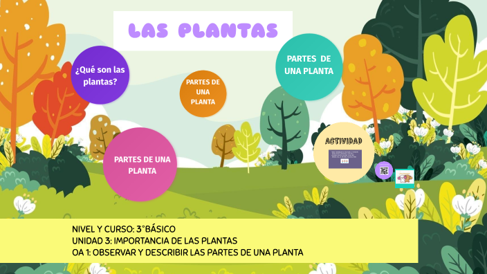 Las plantas y sus partes by B RBARA JAVIERA HUILIP N VALOS on Prezi