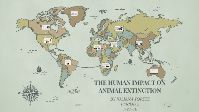 THE HUMAN IMPACT ON ANIMAL EXTINCTION by Juliana Topete on Prezi