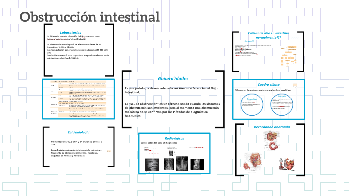 Obstruccion intestinal by on Prezi