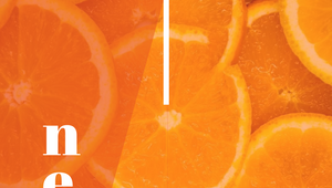 Newton's laws by Mason Ladd on Prezi Design