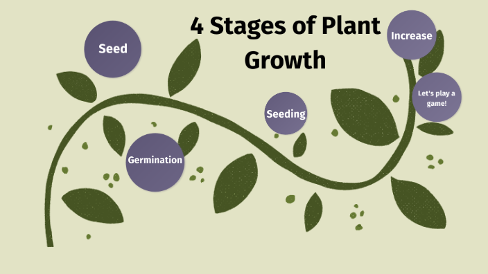 4 Stages of Plant Growth by Carlos Enrico Edrada on Prezi