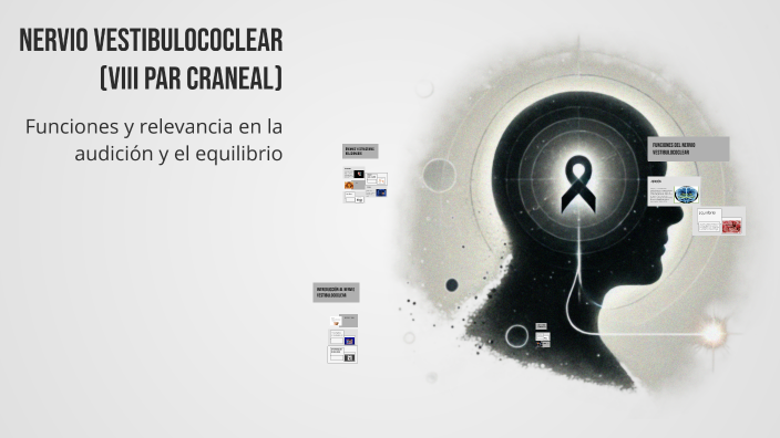Nervio Vestibulococlear Viii Par Craneal By Lucero Salgado On Prezi