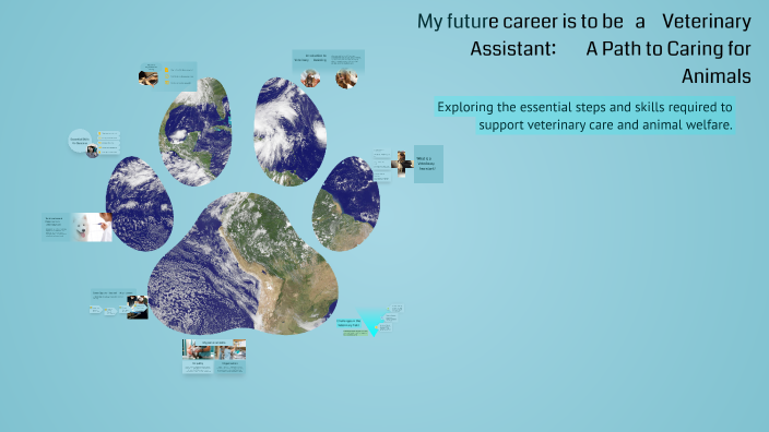 Becoming a Veterinary Assistant: A Path to Caring for Animals by jin yu ...