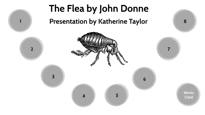 The Flea by John Donne by Katherine Taylor on Prezi