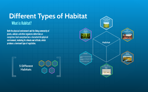 Different Types of Habitat by RTS Education on Prezi