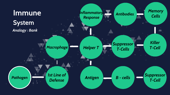 Immune System Analogy by Lilly Gray on Prezi