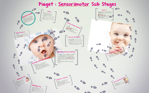Piaget : Sensorimotor Substages by Laukii Cheng on Prezi