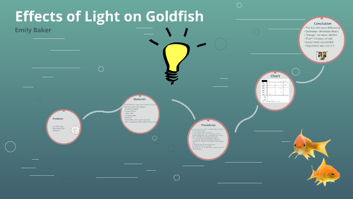 Effects of Light on Goldfish by Emily Baker on Prezi