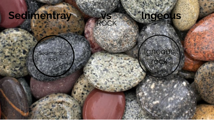 sedimentary vs igneous rock by Melanie Vitela on Prezi