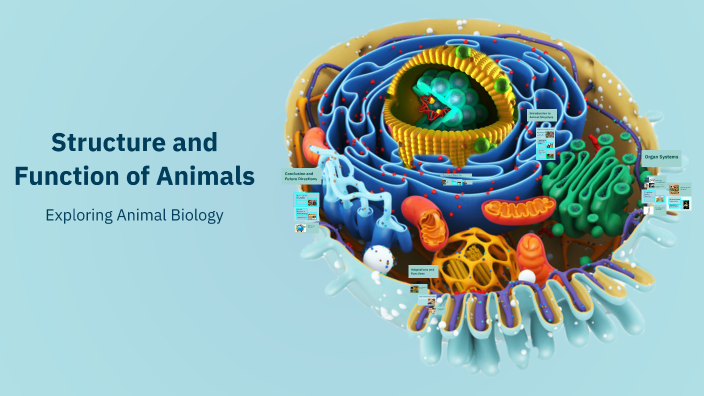 Structure and Function of Animals by Althea Nicole on Prezi