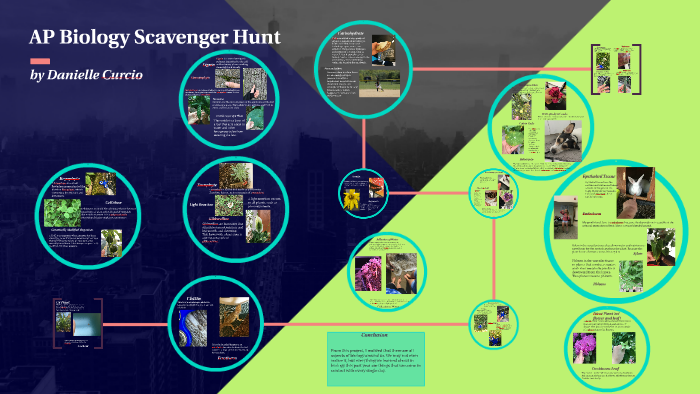 AP Biology Scavenger Hunt by Danielle Curcio on Prezi