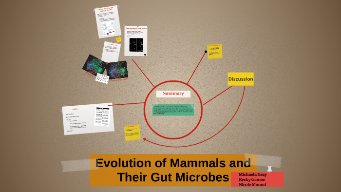 Evolution of Mammals and Their Gut Mircobes by Rebeca Gamez on Prezi