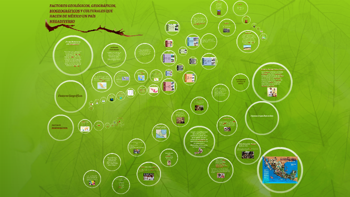 FACTORES GEOLÓGICOS, GEOGRÁFICOS, BIOGEOGRÁFICOS Y CULTURALE by Saul ...