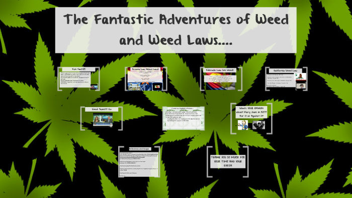 Rozlyn's Prezi by Steven Jones on Prezi