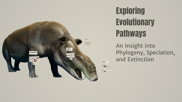Exploring Evolutionary Pathways by Christopher Hernandez on Prezi