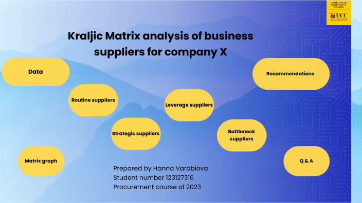 Kraljic Matrix analysis of business suppliers for company X by Hanna ...