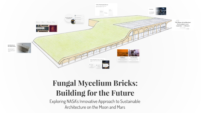 Fungal Mycelium Bricks: Building for the Future by vinicius Bento on Prezi