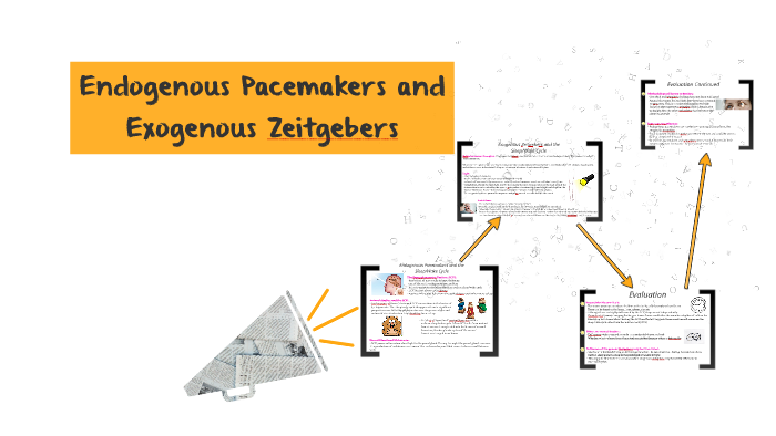 OLD - Endogenous Pacemakers and Exogenous Zeitgebers by Lucy Tickle on ...