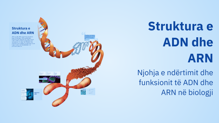 Struktura e ADN dhe ARN by DBZ Anime Shqip on Prezi