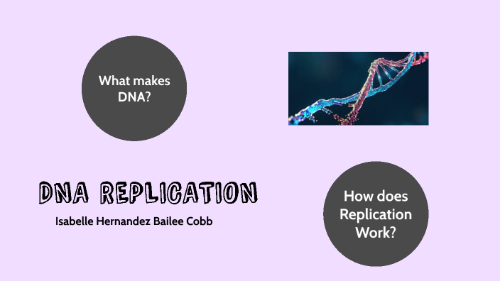 DNA Replication Project by Bailee Cobb on Prezi