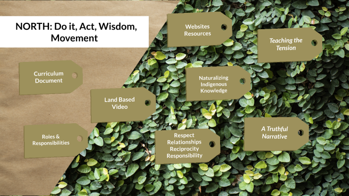 Module 3 - Infographic by Erin McGarvey on Prezi