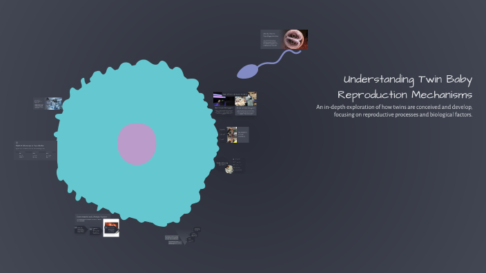 Understanding Twin Baby Reproduction Mechanisms by davunit8 pkd on Prezi