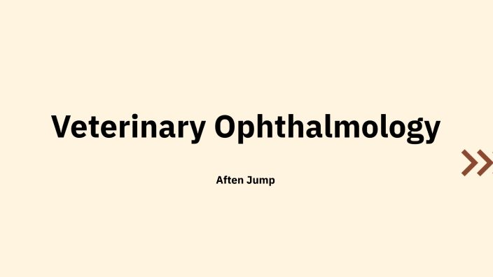 Informative Speech Visual Aid by Aften Jump on Prezi