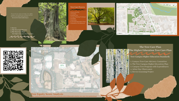 The Tree Care Plan and Process by Alisonya Poole on Prezi