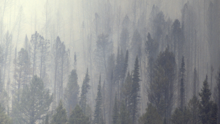 PREZI FINAL by Declan OConnor on Prezi