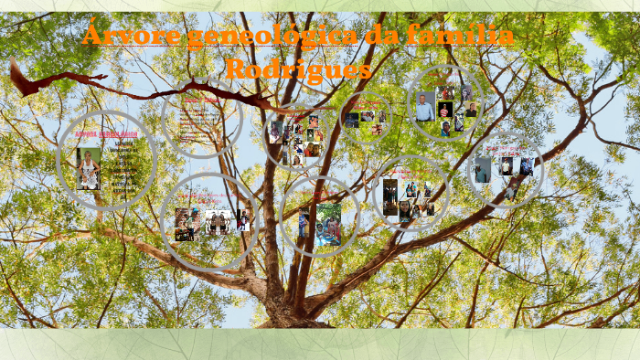 Árvore geneológica da família Rodrigues by RAIANY VIEIRA RODRIGUES on Prezi