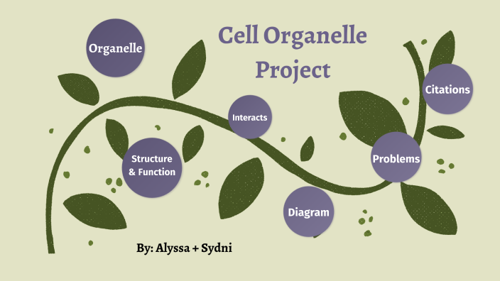 3.1.2 Cell Organelle Project by Sydni King on Prezi