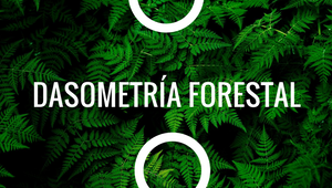 DASOMETRÍA FORESTAL by Marisol Iñiguez on Prezi Design