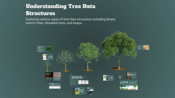 Understanding Tree Data Structures by bharath goud on Prezi