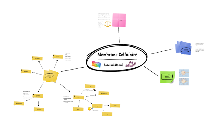 La Membrane Cellulaire («Mind Map») by Madeleine Higgins on Prezi