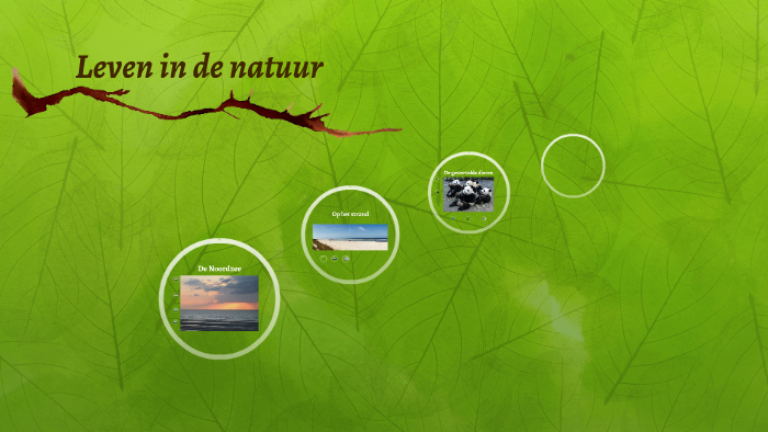 Leven in de natuur by Jonas Thielemans on Prezi