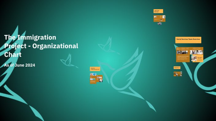 The Immigration Project - Organizational Chart by Outreach Coordinator ...
