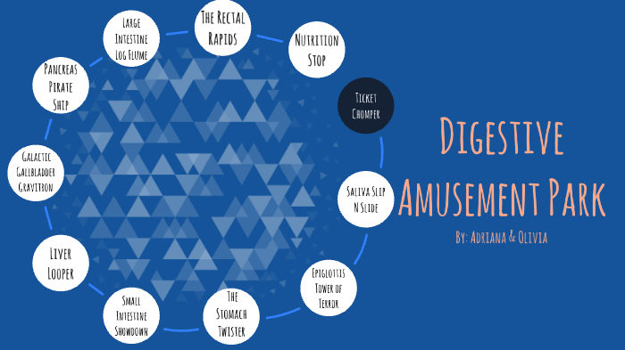 Digestive Amusement Park by Olivia Phillips on Prezi