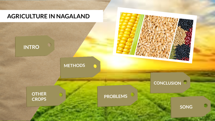 Agriculture in Nagaland by Gungun k on Prezi