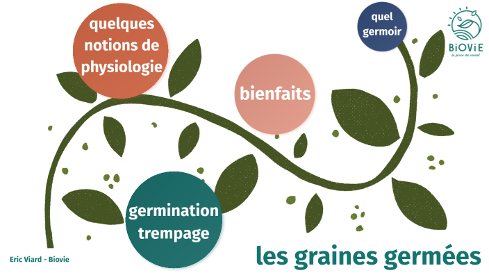 BIOVIE graines germées by Eric Viard on Prezi