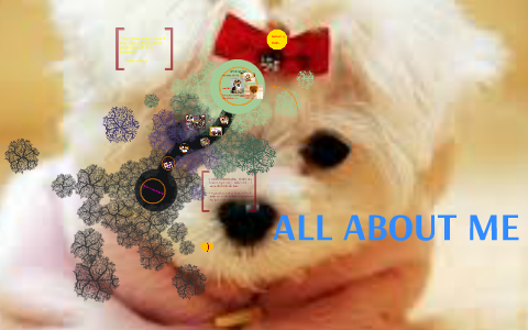 ALL ABOUT ME by Kay Angela Balbuena on Prezi