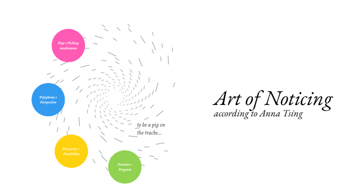 Art of Noticing by Maxine Atienza on Prezi
