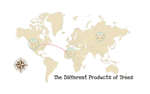 20 and 24 "The Different Products of Trees" by grade7 st.rose on Prezi