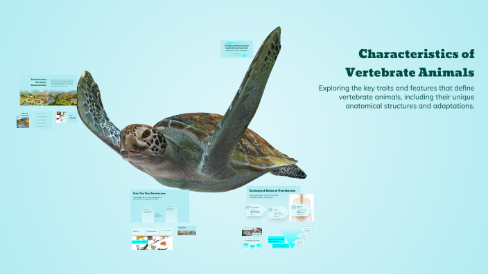 Characteristics of Vertebrate Animals by monina abulibdeh on Prezi