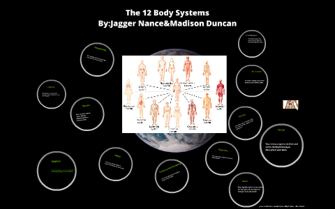 The 12 Body Systems by Madison Duncan on Prezi