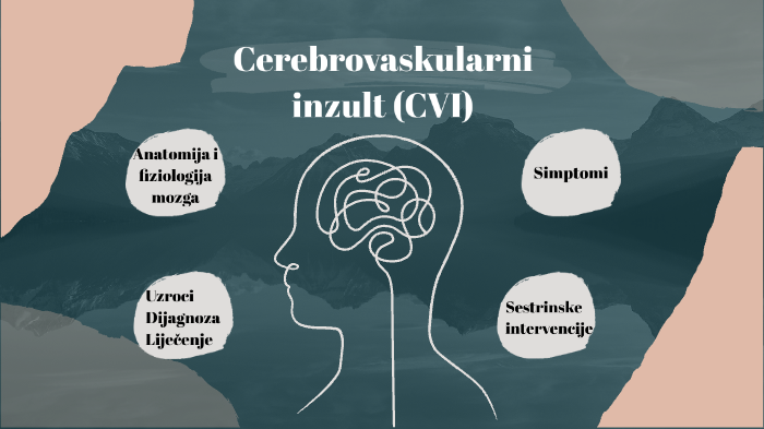 Cerebrovaskularni inzult (CVI) by Iva Šestan on Prezi