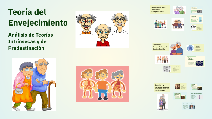 Teoría del Envejecimiento by mateo valenzuela on Prezi